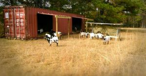 Inexpensive Shipping Container Barns | Container Addict